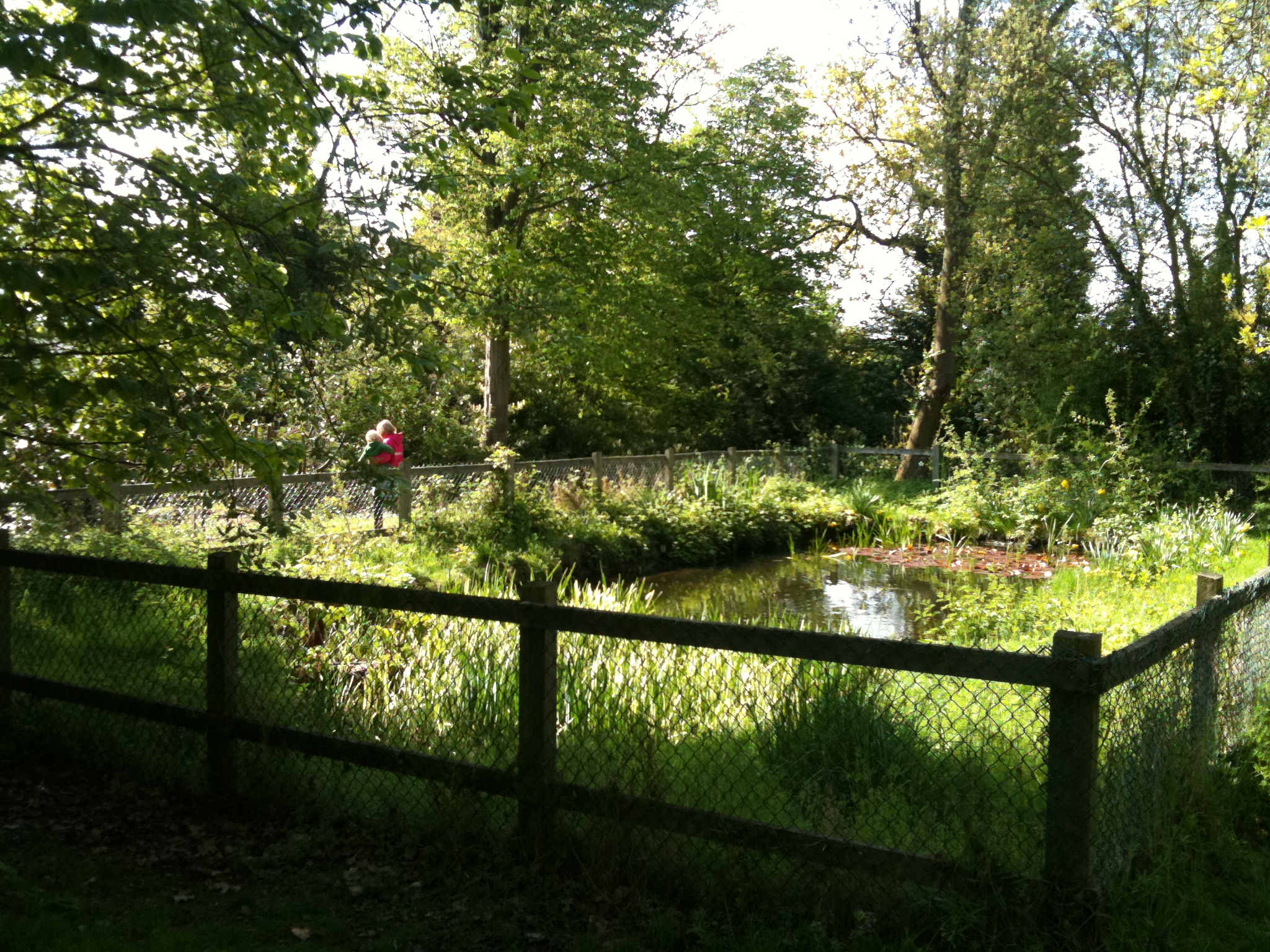 Nature – Shenley Park